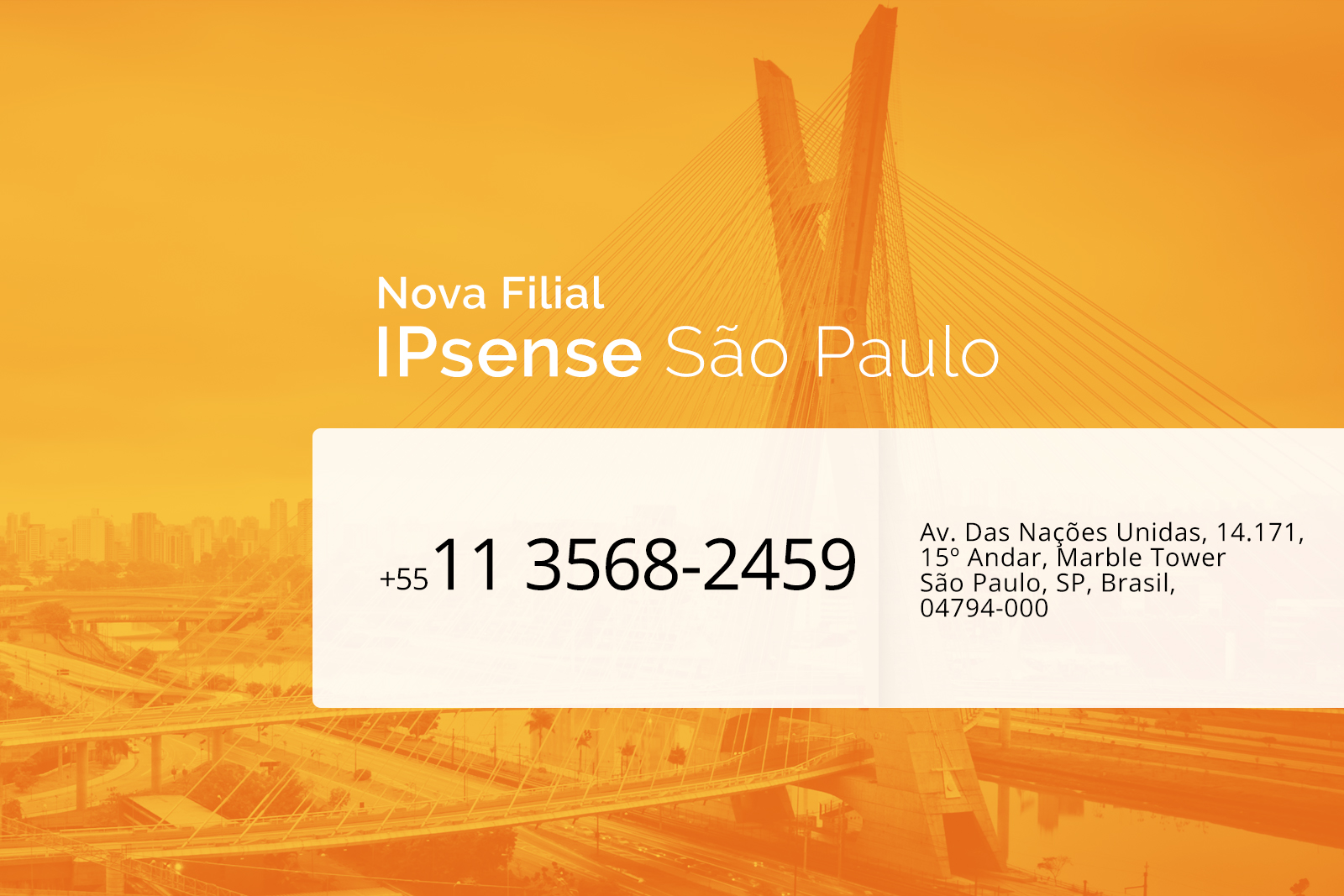 Nova Filial IPsense São Paulo - IPsense